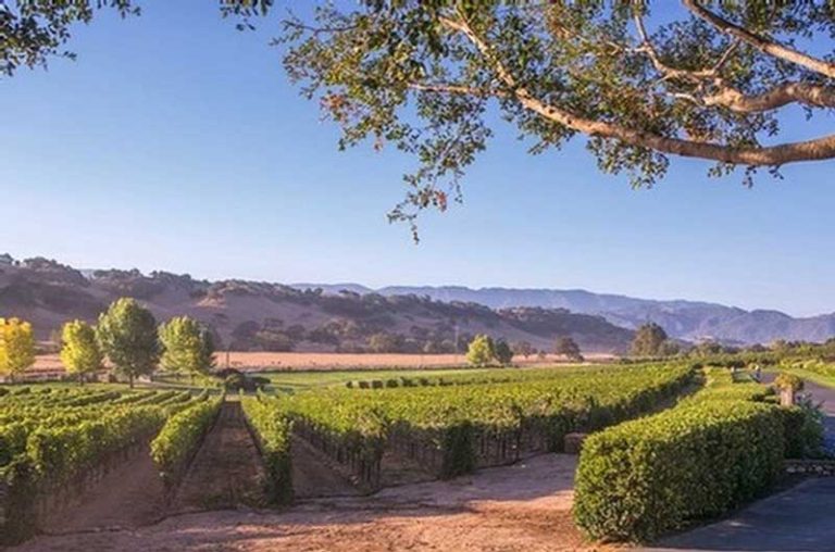 Rusack Vineyards Boutique Winery and Vineyard in Solvang