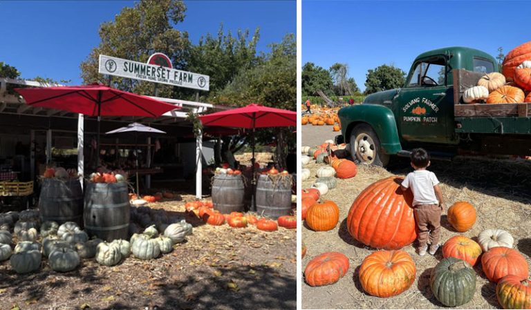 Solvang Fall Festivals and Things to Do in Santa Ynez Valley