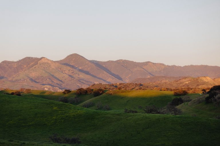 Experience Things to Do in Buellton in the Santa Ynez Valley