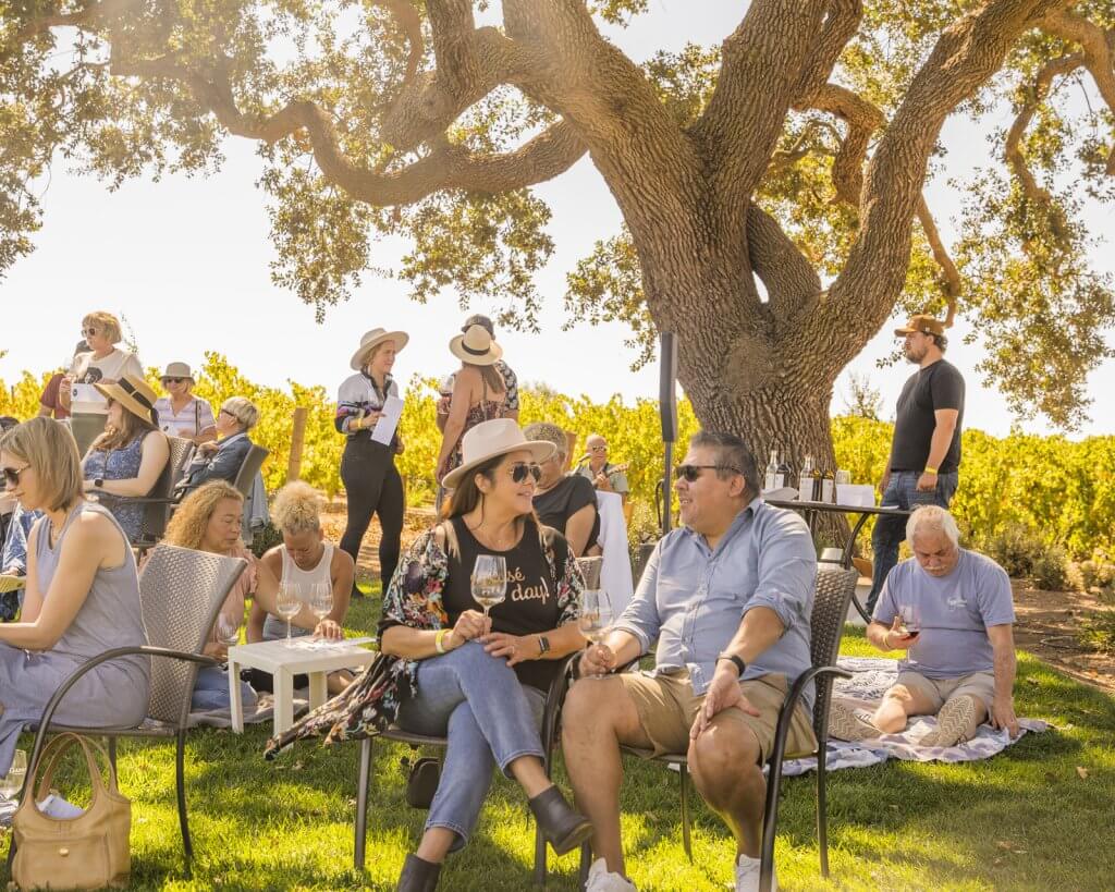 Guide to Santa Ynez and Things to Do in Santa Ynez